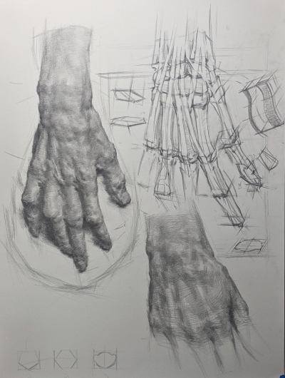 Workshops: Master Class in the Artistic Study of Hands | Studio Incamminati